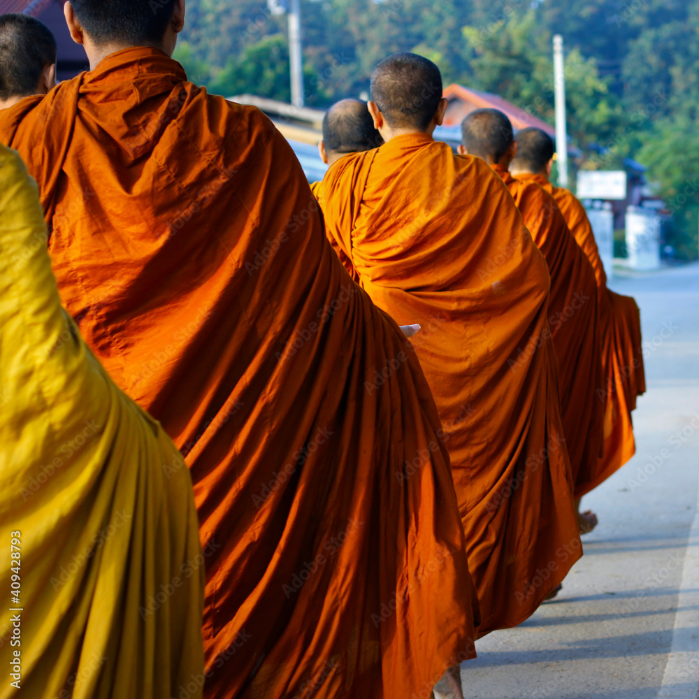 monks dressing orange robe during reception of alms, around buddhist ...