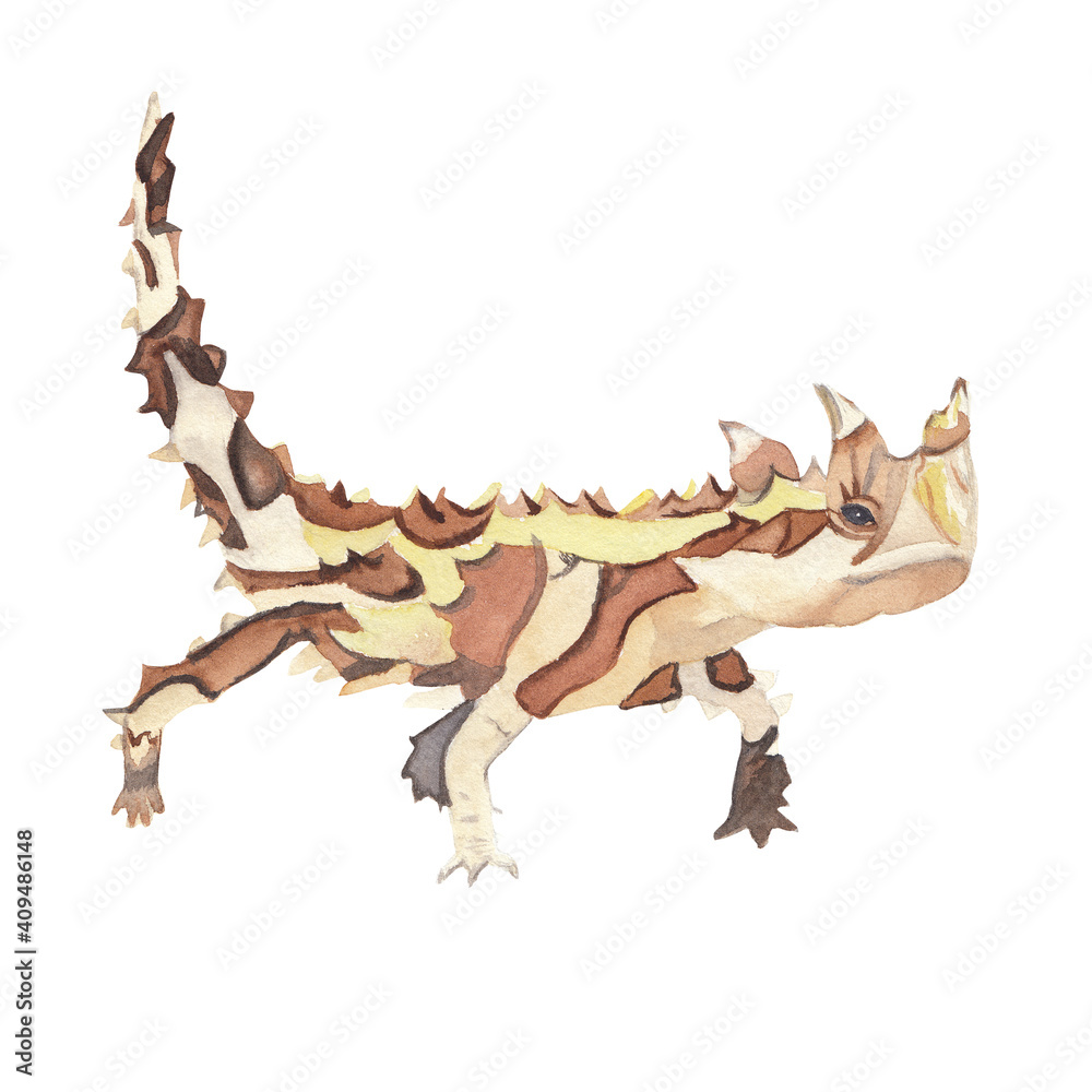 Watercolor australian animals clipart Hand painted hand drawn wild ...