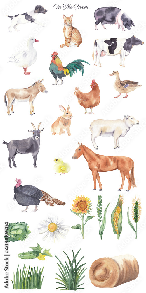 Watercolor farm animals and botanical elements isolated on white ...
