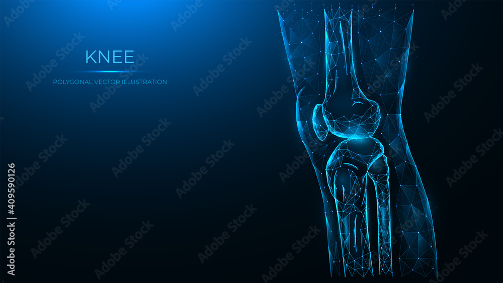 Polygonal vector illustration of the knee joint side view. Thigh and ...