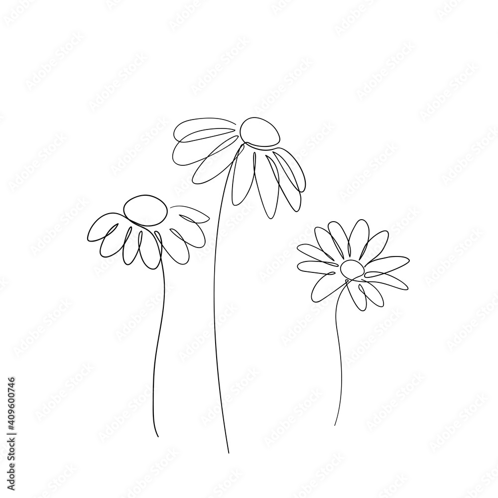 Chamomile flower line art drawing. Minimalist botanical icon, logo ...
