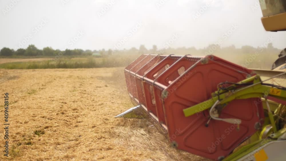 Rotary straw walker combine harvester cuts and threshes ripe wheat ...
