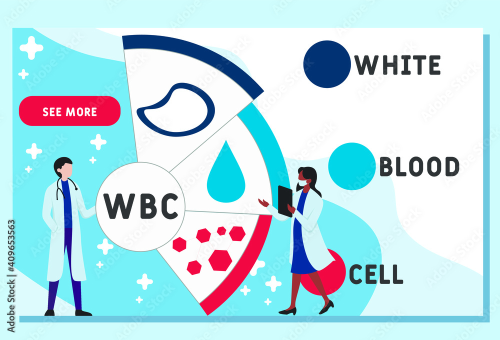 Vector website design template . WBC - White Blood Cell acronym ...