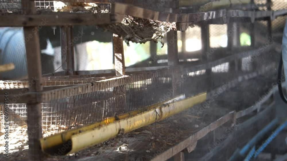 Experts are injecting a chemical to kill germs that contaminate the ...