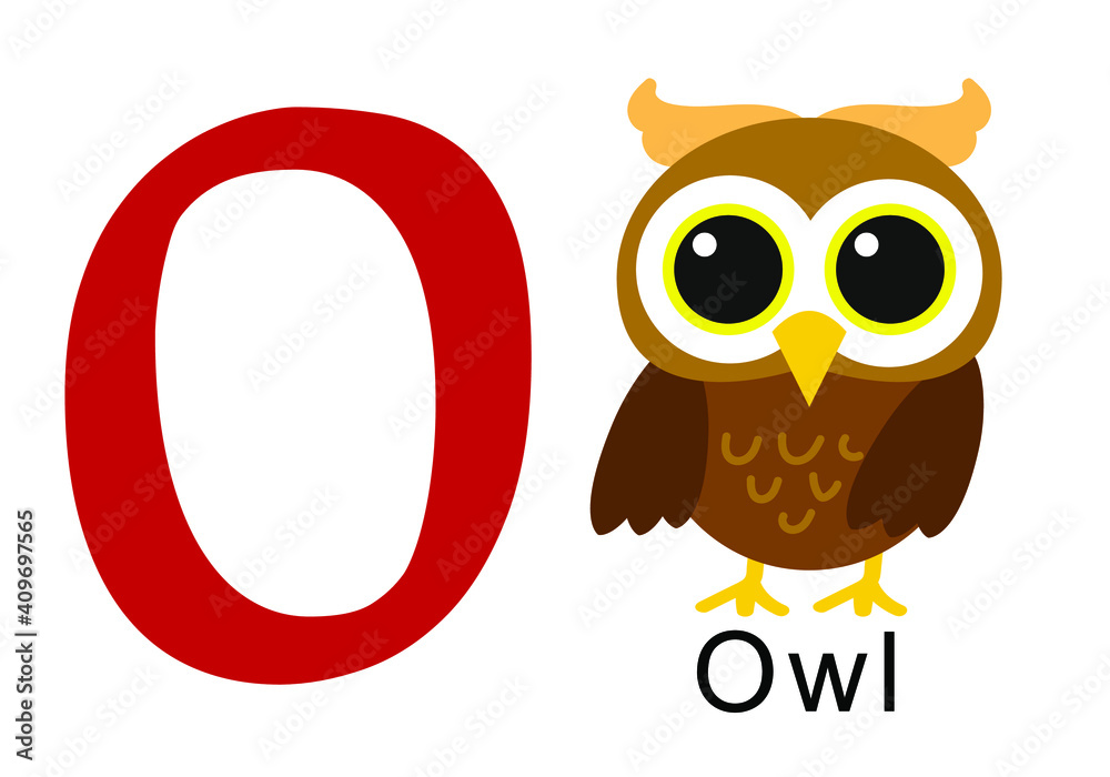 Letter O for owl vector. hand drawn owl vector. Bird vector. Large font ...