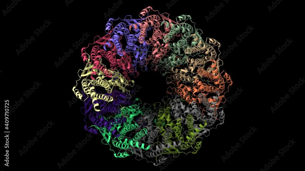 Atomic structure of the Epstein-Barr virus portal, structure I ...