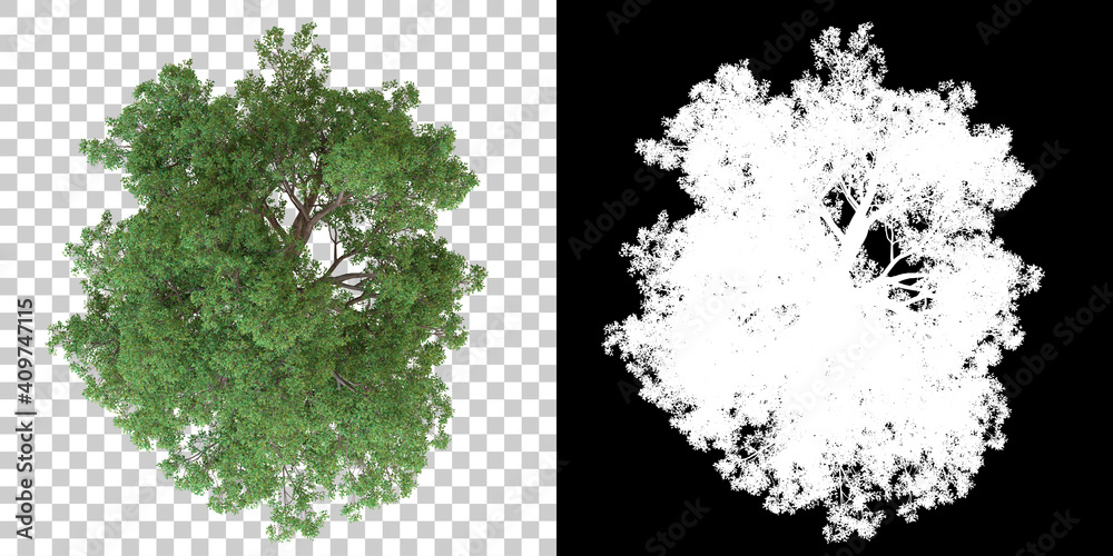 Tree isolated on black background with white mask for easy cutout. 3d ...