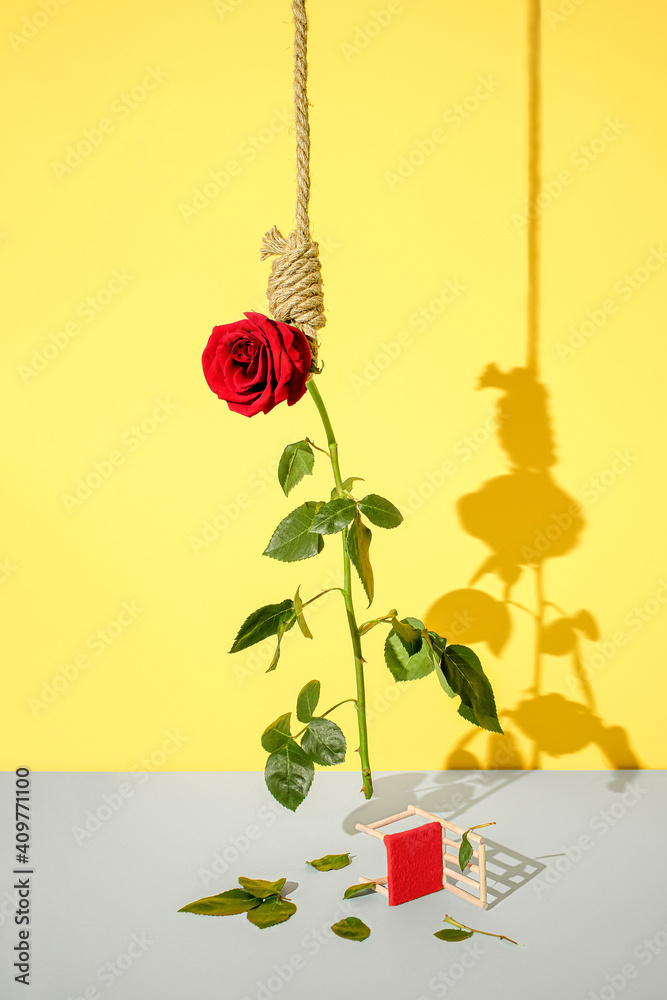 Red rose hanging with a hangmans noose above fallen chair. Creative ...