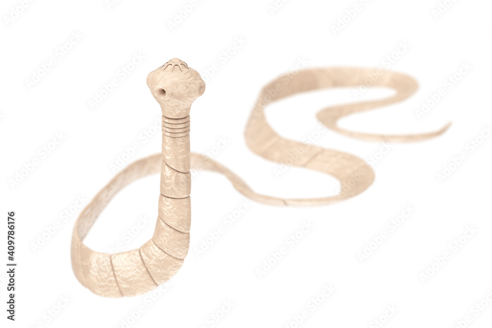Poster Taenia Solium Tapeworm Closeup Microscopic View. 3d Rendering ...