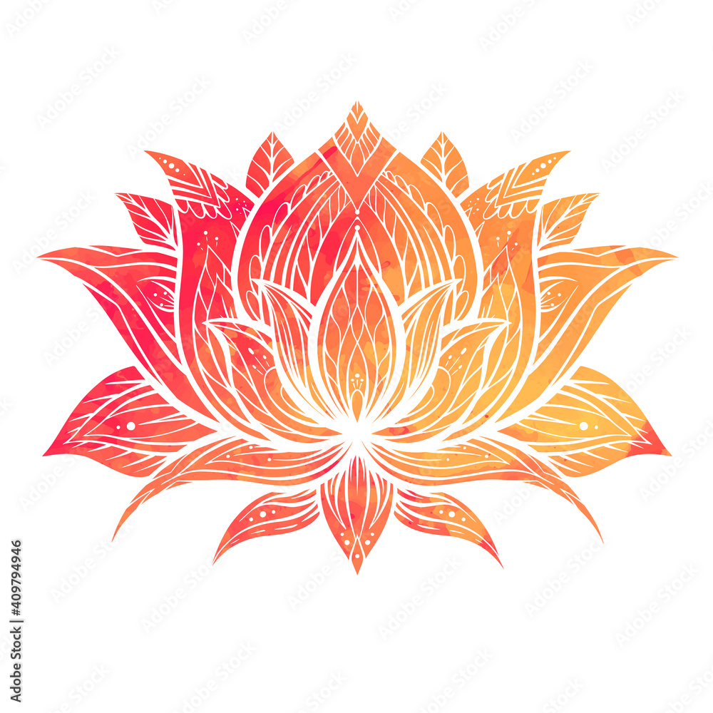 Red Lotus Flower Drawing