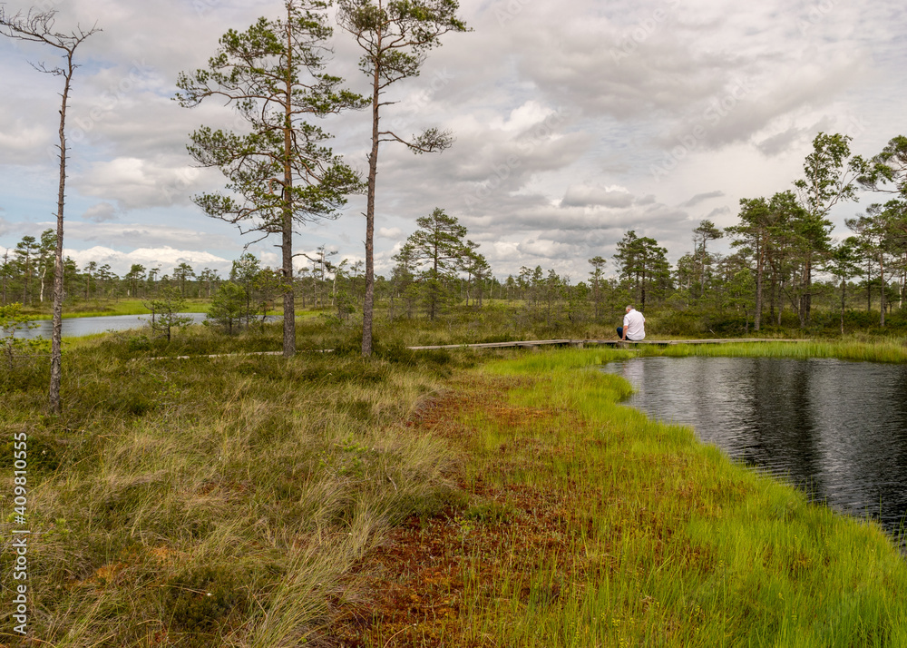 the summer swamp. a man in a white shirt sits on a wooden bridge. bog ...