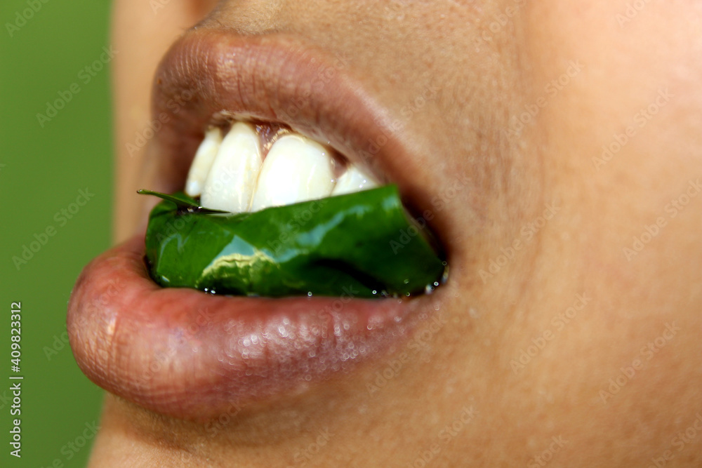Chewing Betal nut Leaf, Paan Mouth freshener Stock Photo | Adobe Stock