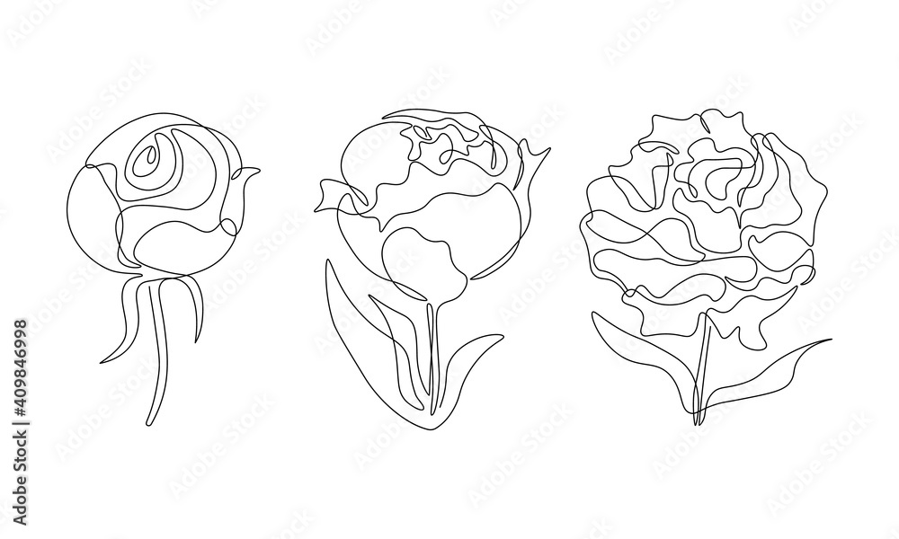 Set of one line peony flowers. Abstract art, Hand drawn continuous line ...