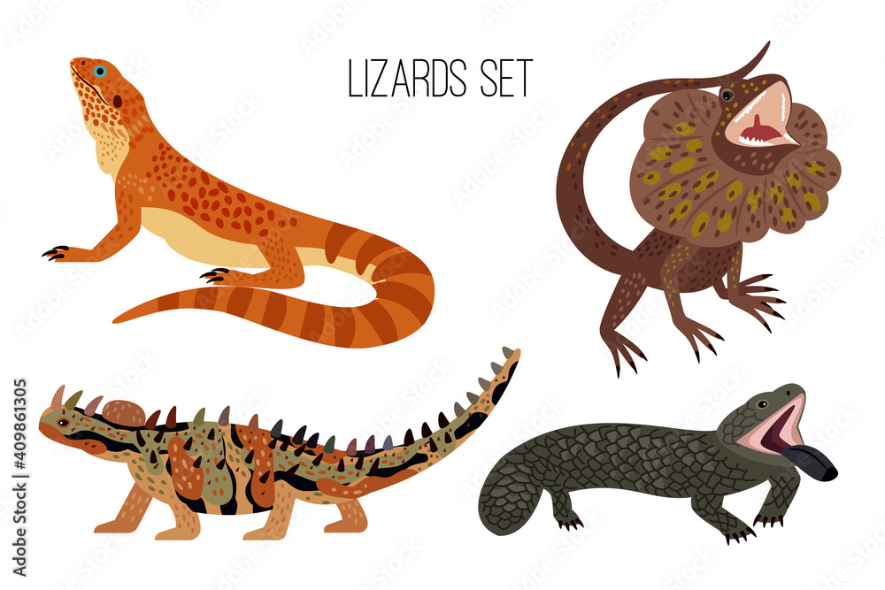 Colorful lizards. Cartoon crawling australian reptiles with tail ...