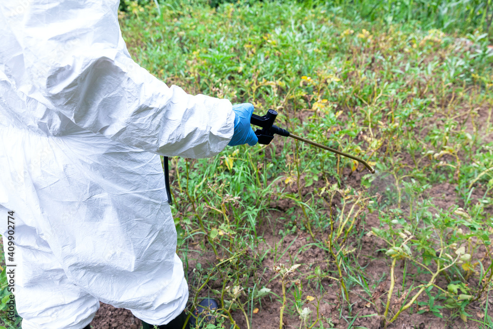 Foto de Weed killer herbicide glyphosate spraying. Non-organic ...