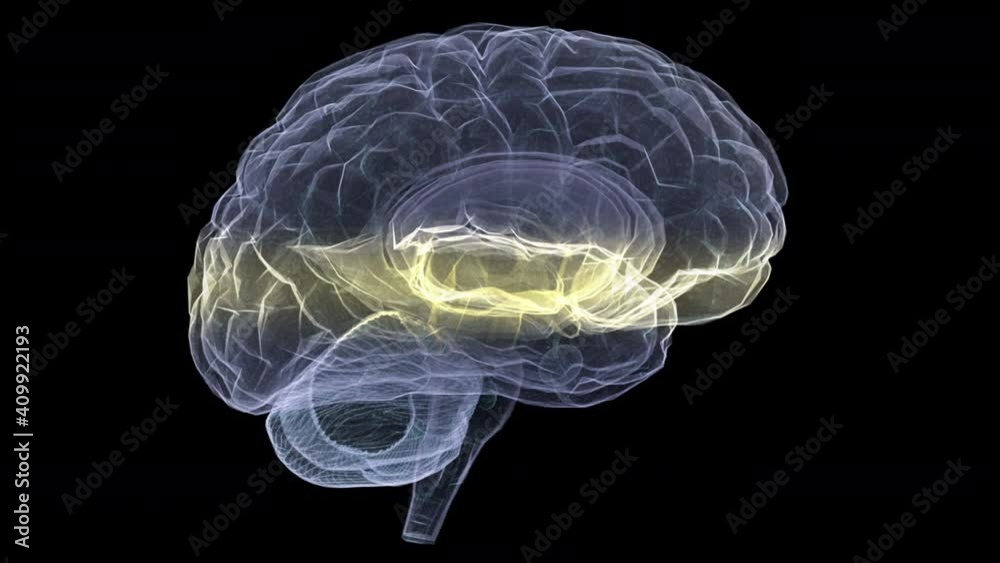 Futuristic holographic X-ray tomography scanning patient's Brain for ...