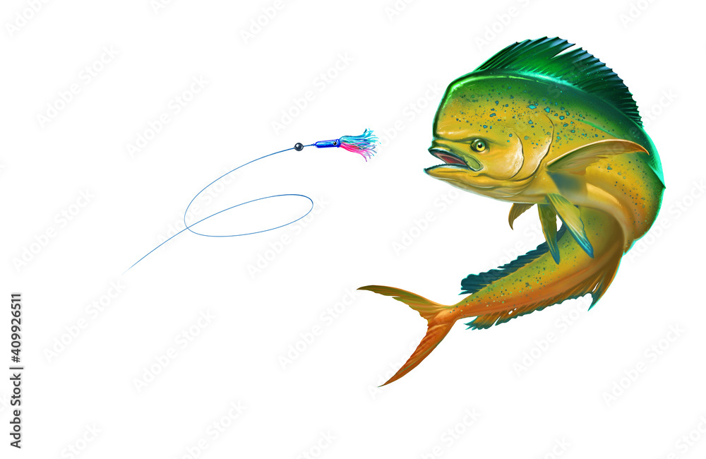 Orange - Yellow мahi mahi or dolphin fish attacks bait sea swim squids ...