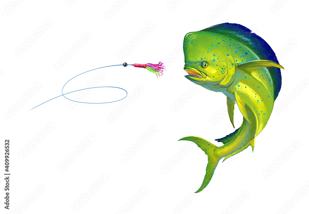Mahi mahi or dolphin fish on white Bait Sea Octopus Skirt. Realistic ...
