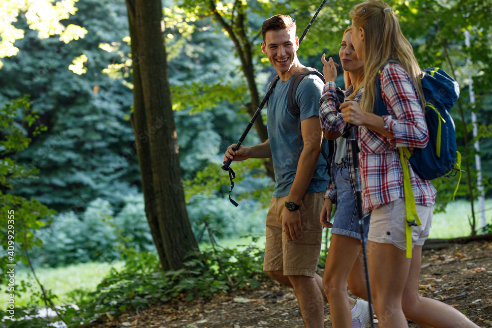 Group of friends hiking in nature.They walking through forest . Stock ...