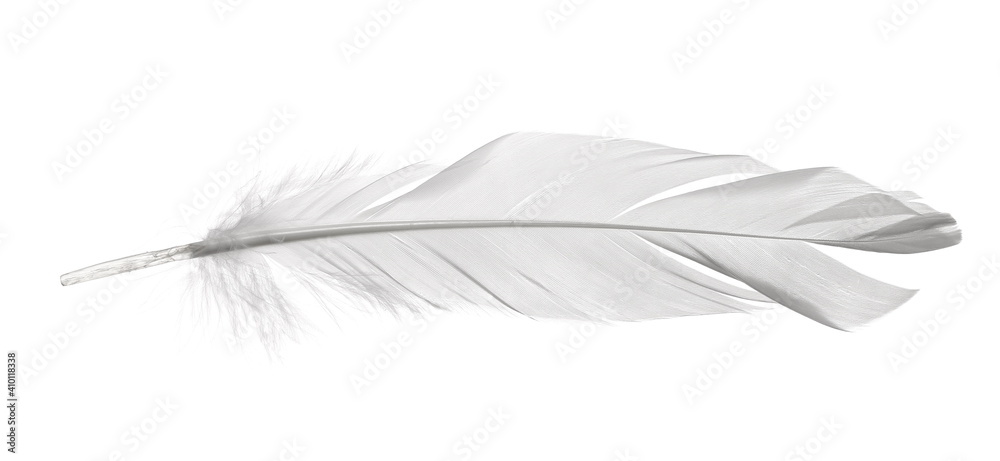 White feather, quill isolated on white background with clipping path ...