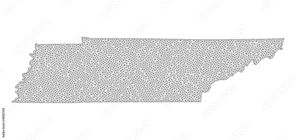 Polygonal mesh map of Tennessee State in high resolution. Mesh lines ...