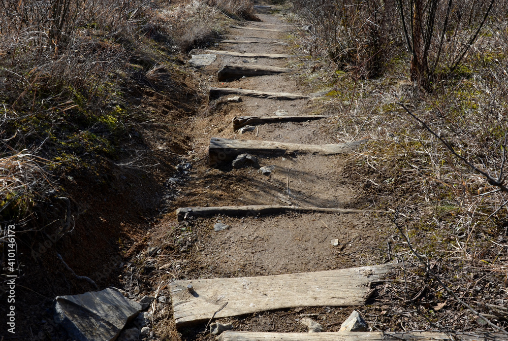 path in the countryside staircase made of wooden beams and branches ...