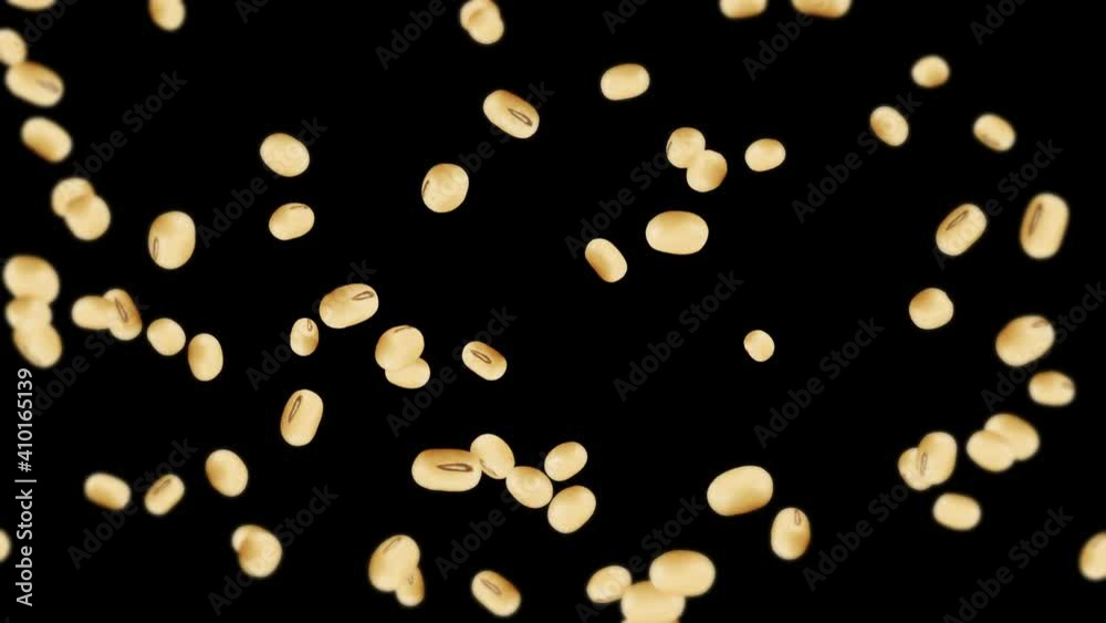 Flying many soybeans on black background. Light brown grains. Soya bean ...