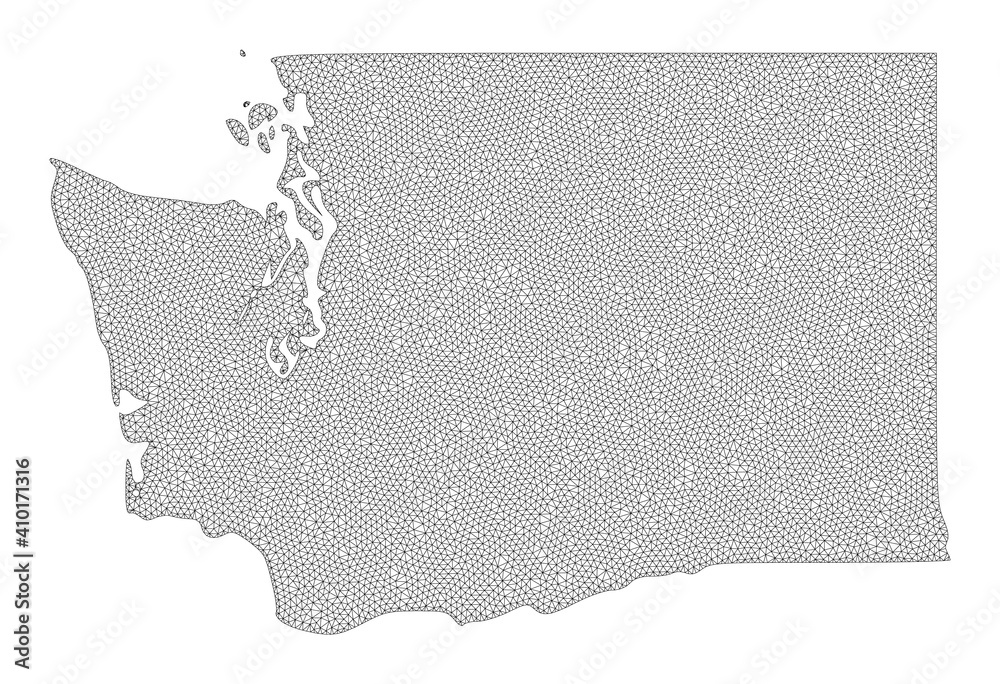 Polygonal mesh map of Washington State in high detail resolution. Mesh ...