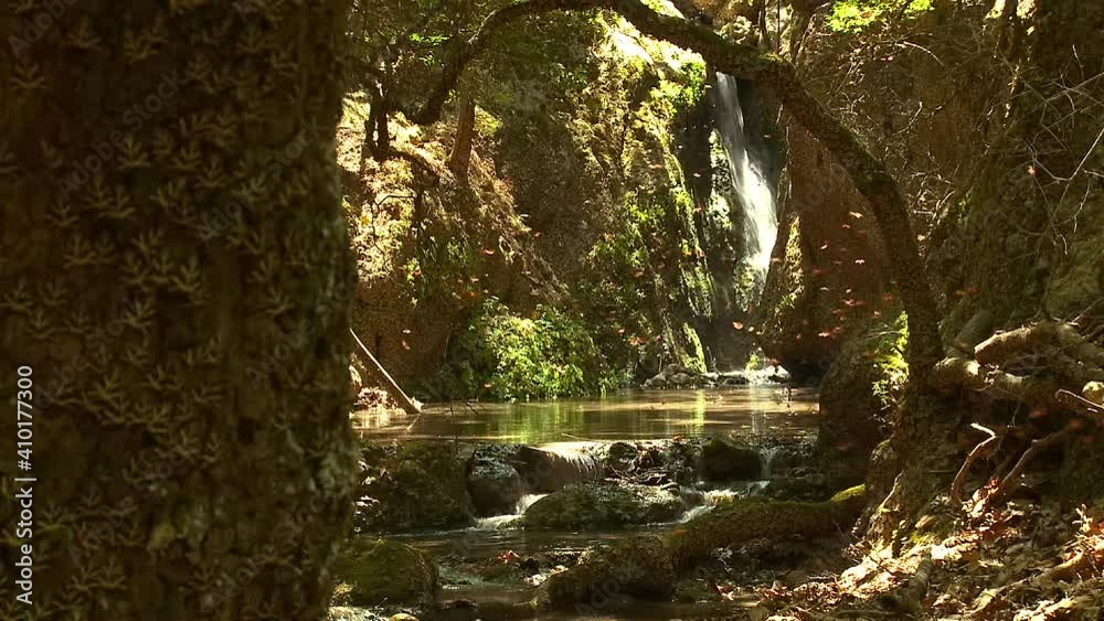 Rhodes Greece : The Valley of the Butterflies (Petaloudes in Greek ...