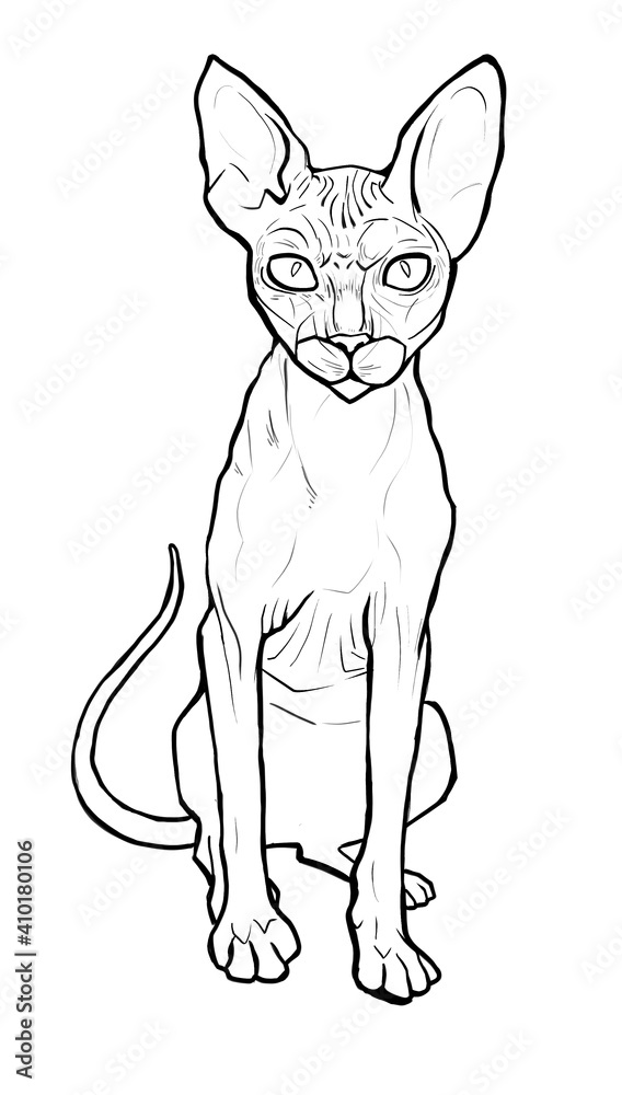 Vector illustration funny Sphynx cat linear drawing. sitting angry ...