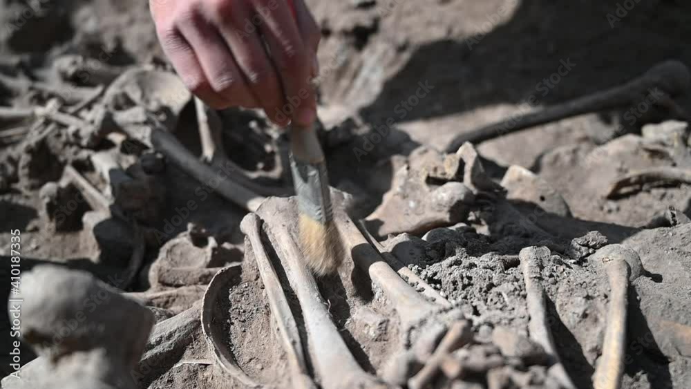 An archaeologist sweeps dust off human remains during archaeological ...