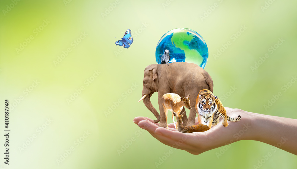 World Animal Day, Wildlife Day concept. Saving planet Earth, protect ...