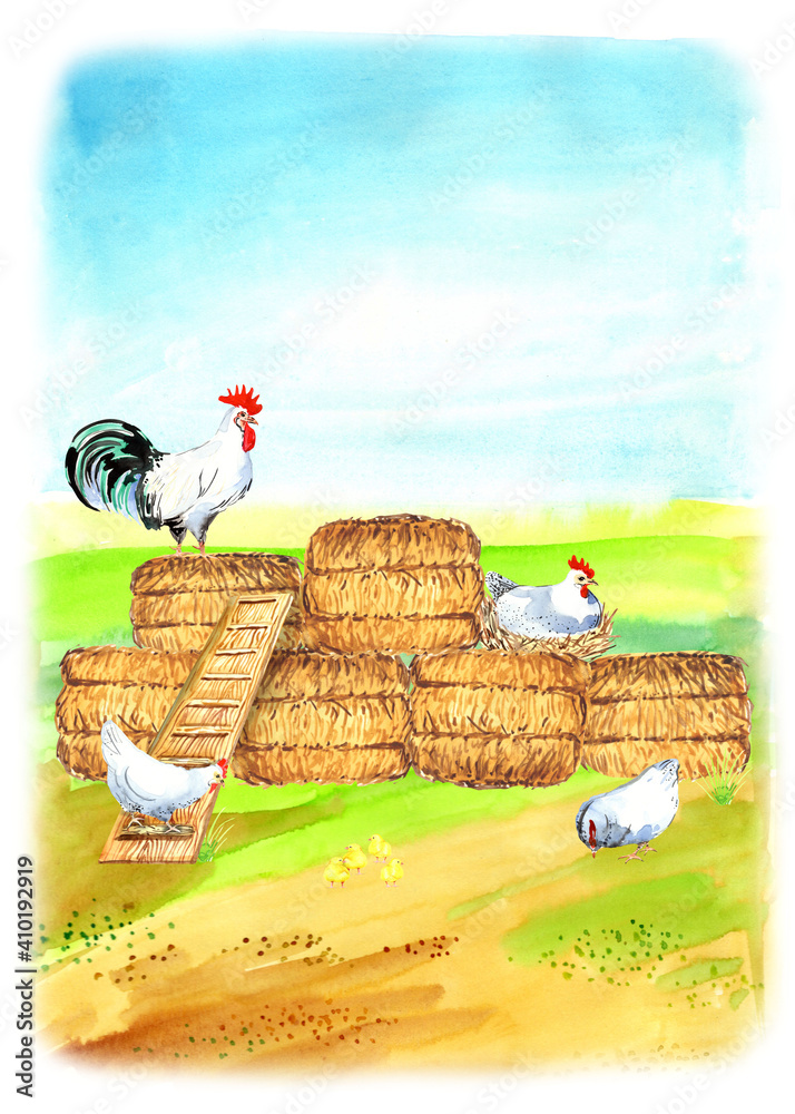 Poultry Farming Clipart Illustrations