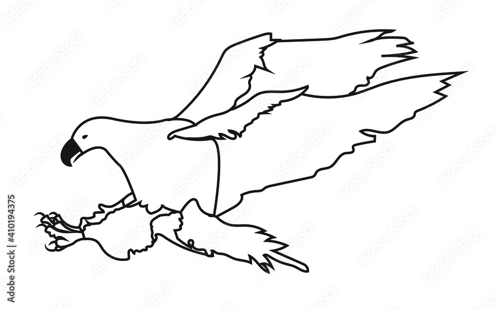 Bald eagle hunting outline Stock Vector | Adobe Stock