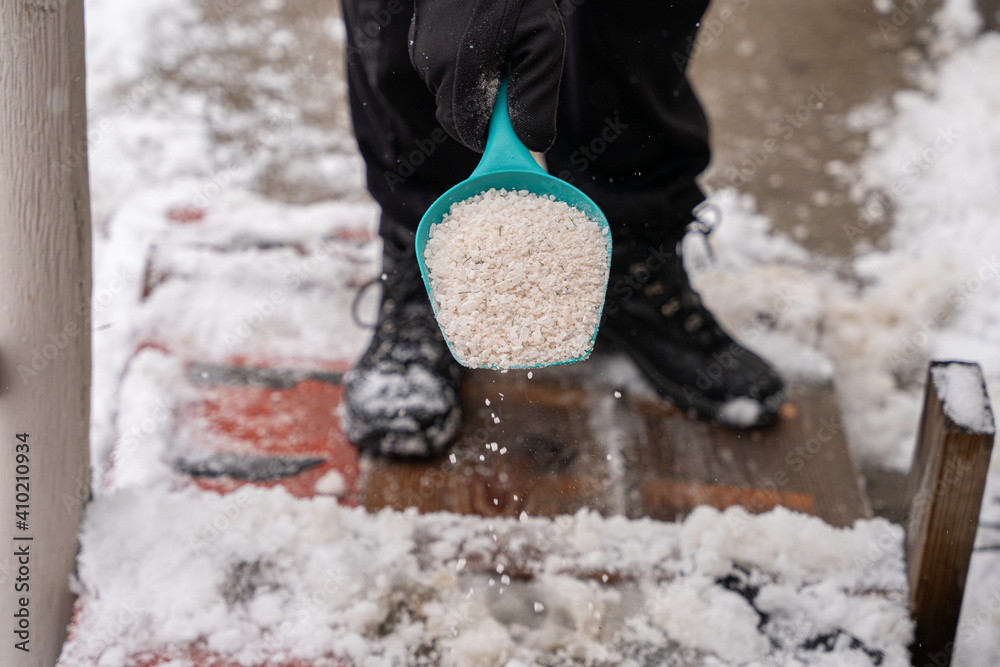 ice melt rock salt is being spread on your walking path to melt the ...