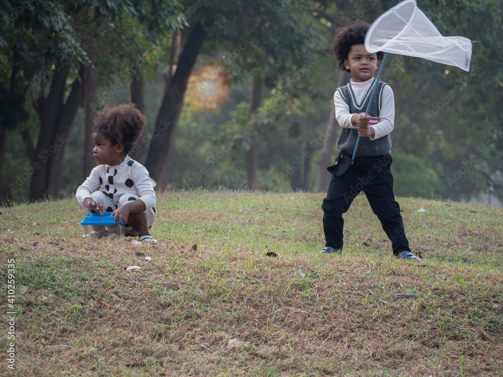 African American boys and girls catch insects in the forest on ...