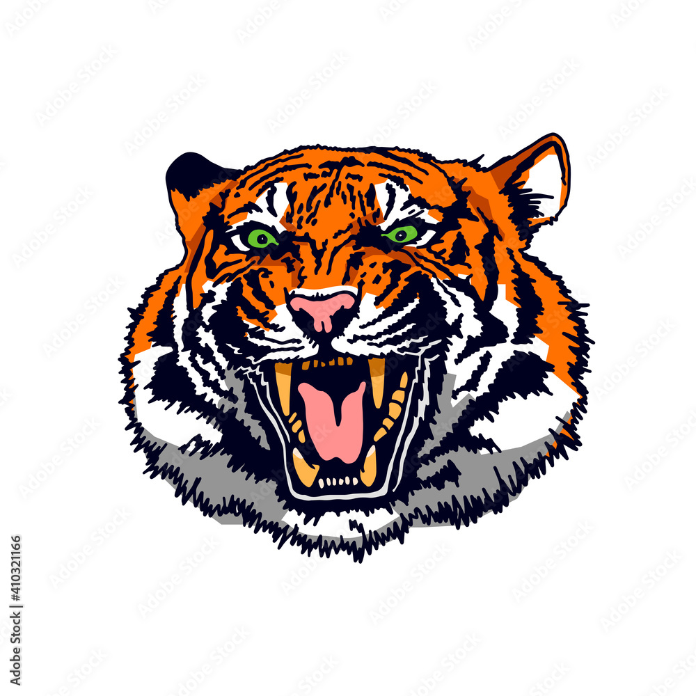 Angry tiger face. The grin of a tiger. Detailed drawing of a tiger. The ...