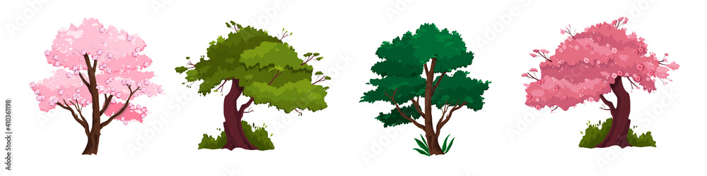 Spring trees vector nature illustration collection with pink blossom ...