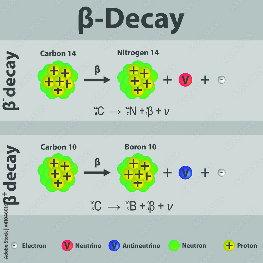 Beta plus and Beta minus Decay of carbon infographic with equation ...
