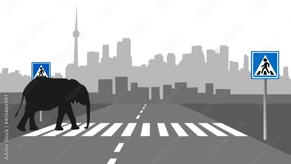 Cityscape with an elephant crossing the road at zebra crosswalk ...