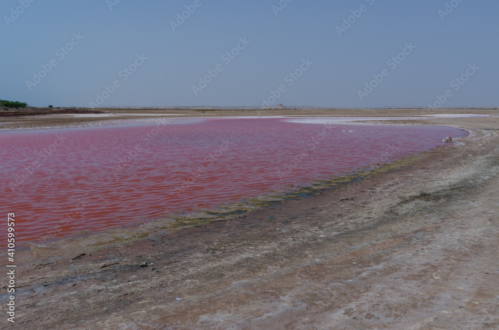 Pink lakes red color in Oman, caused by the presence of algae that ...
