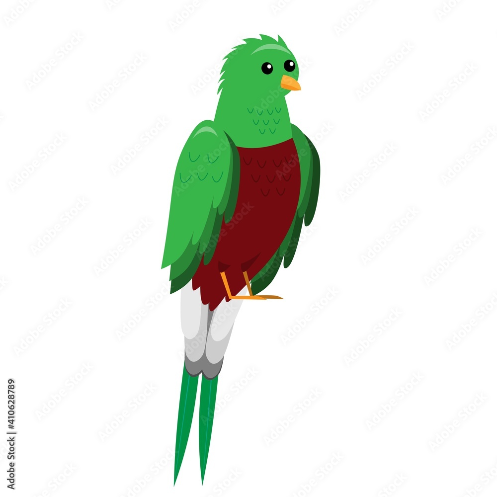 cute cartoon flat quetzal from side, vector of parrot isolated on white ...