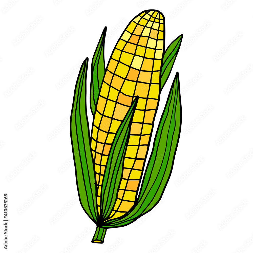 Cute cartoon doodle fresh corn with leaves isolated on white background ...