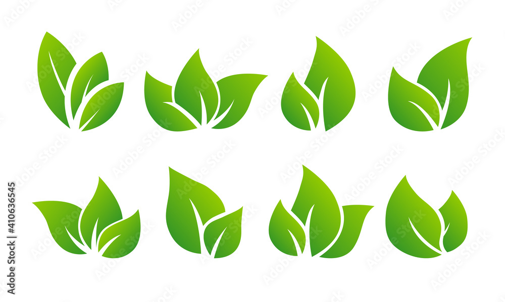 Leaf Shapes Vector
