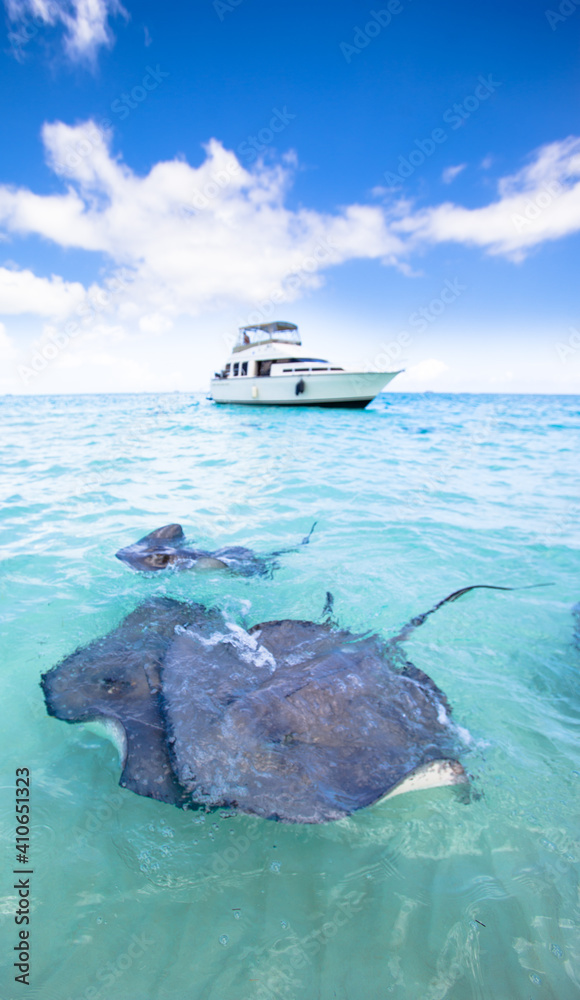 Stingray City at Grand Cayman. Nautical Vessel, Sandbar, Stingray ...