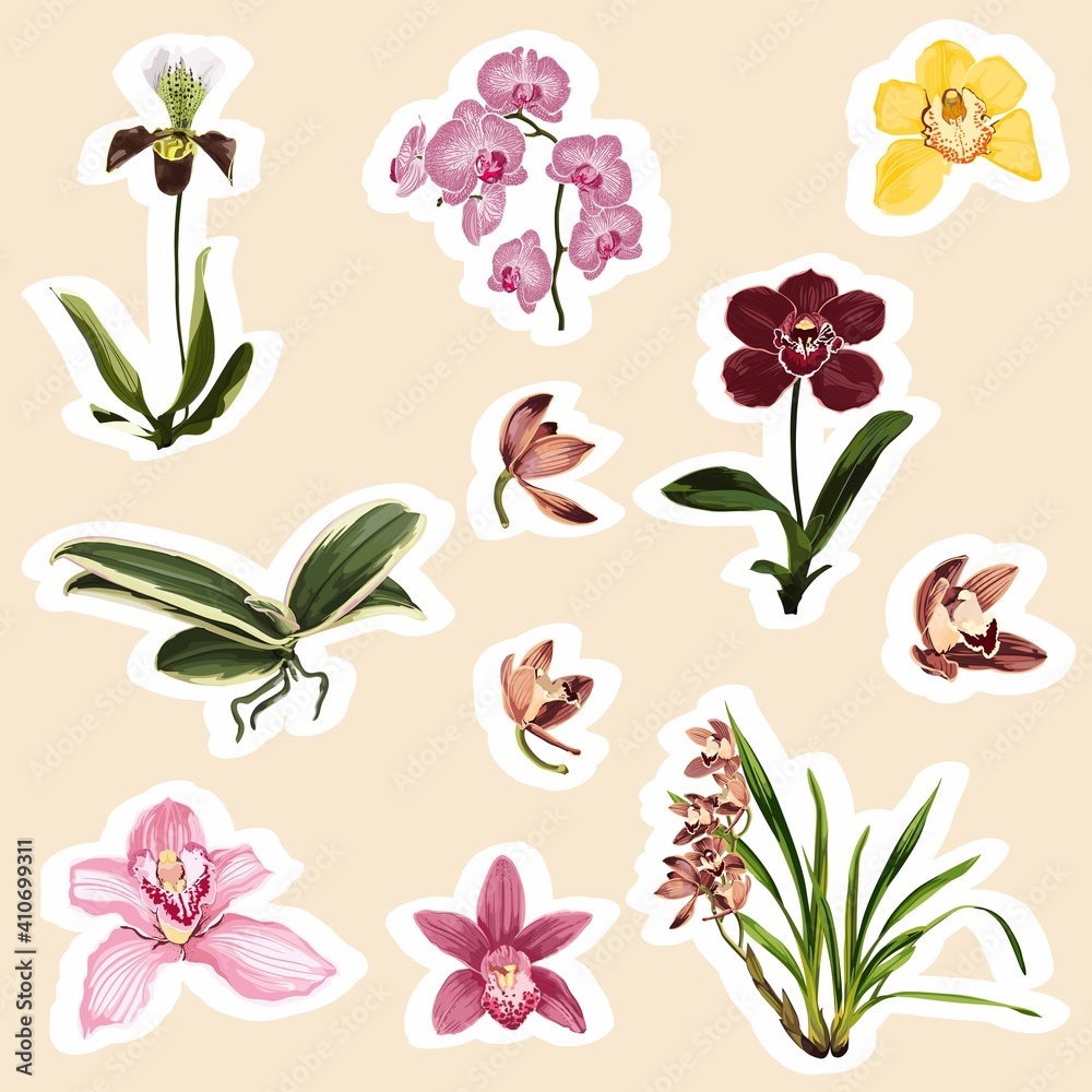 Set of tropical orchids flowers elements. Set of stickers, pins ...