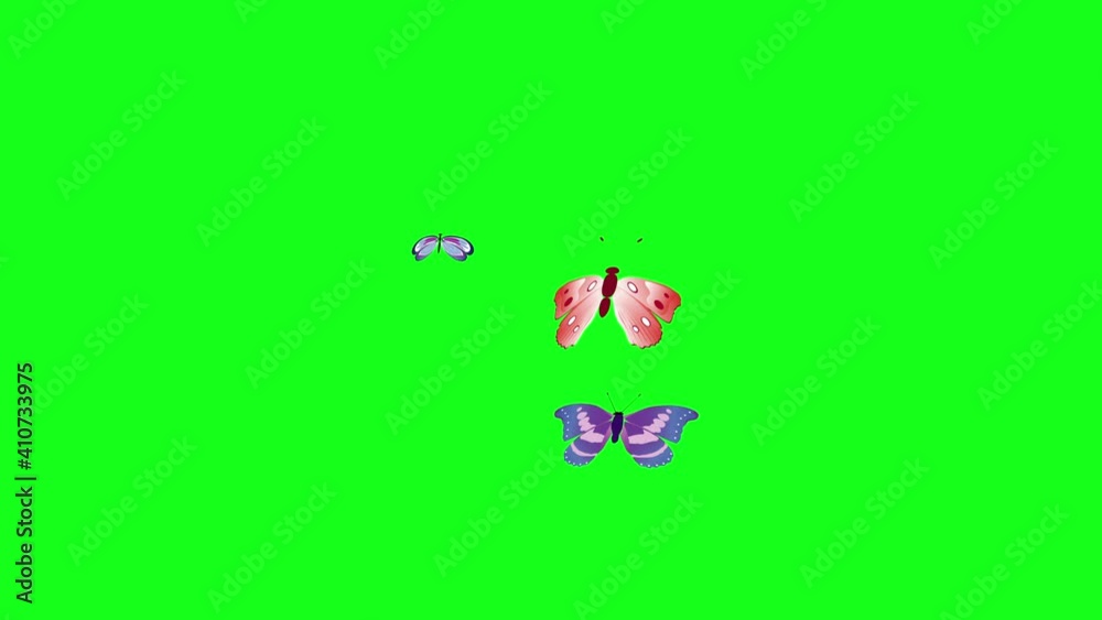 Group of butterflies fly on green screen chroma key, graphic source ...