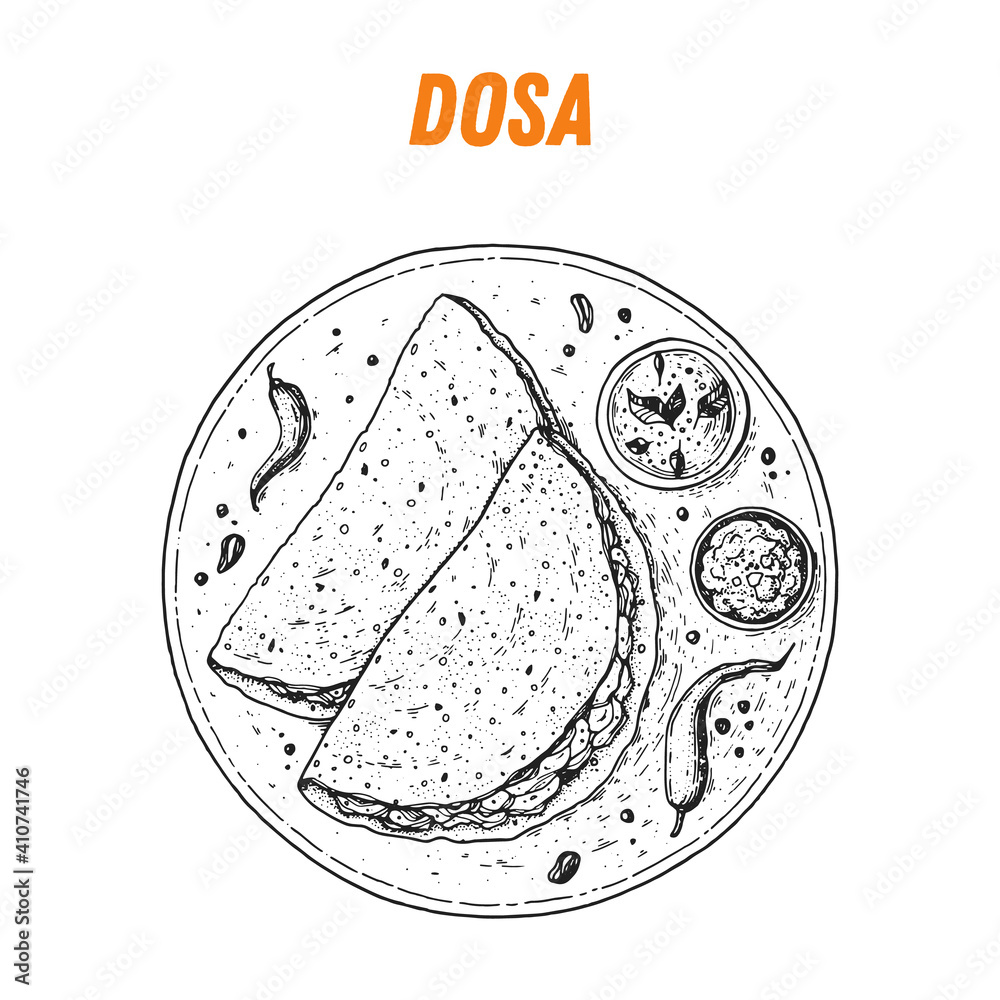 Dosa sketch, Indian food. Hand drawn vector illustration. Sketch style ...