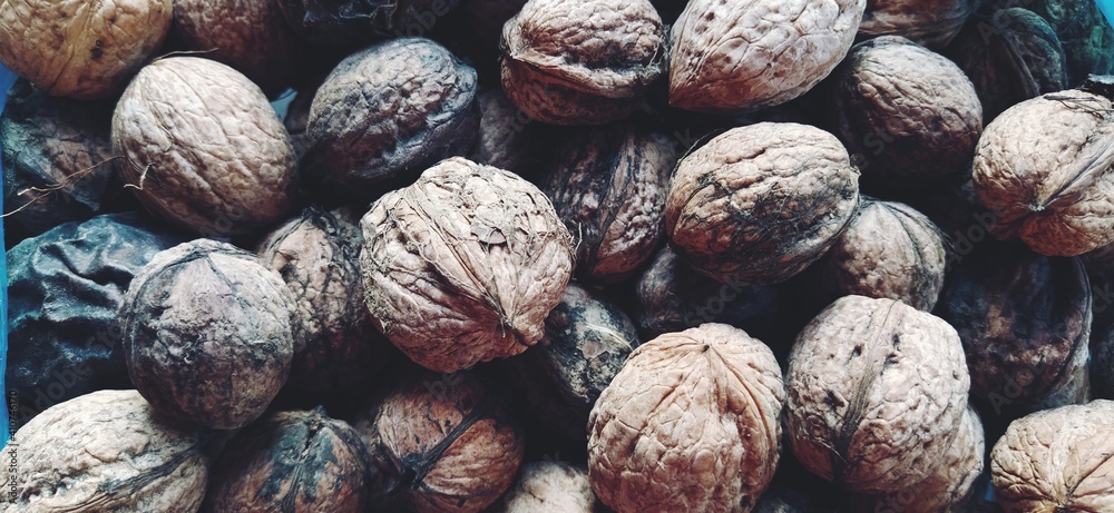 Walnuts close-up. Harvest of nuts. Walnut fruits, rounded large single ...