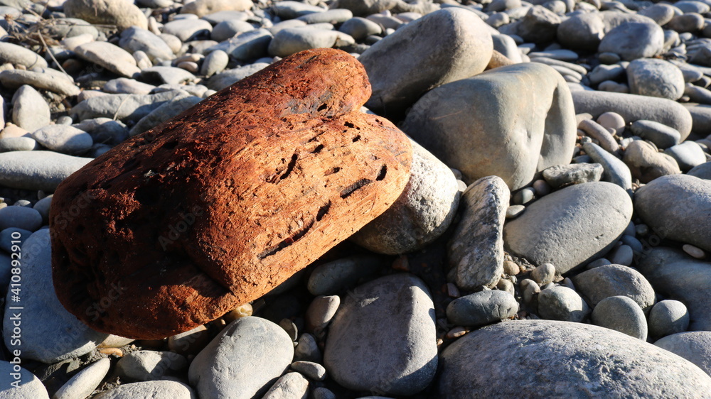 red-brown oval of wood turned by running water lying on a stone river ... red-brown oval of wood turned by running water lying on a stone river ...